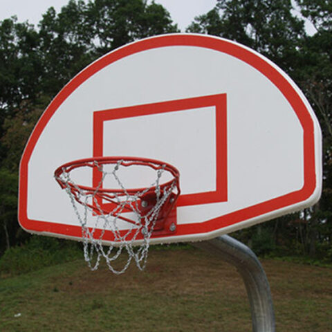 Gooseneck Basketball System | Park & Play USA